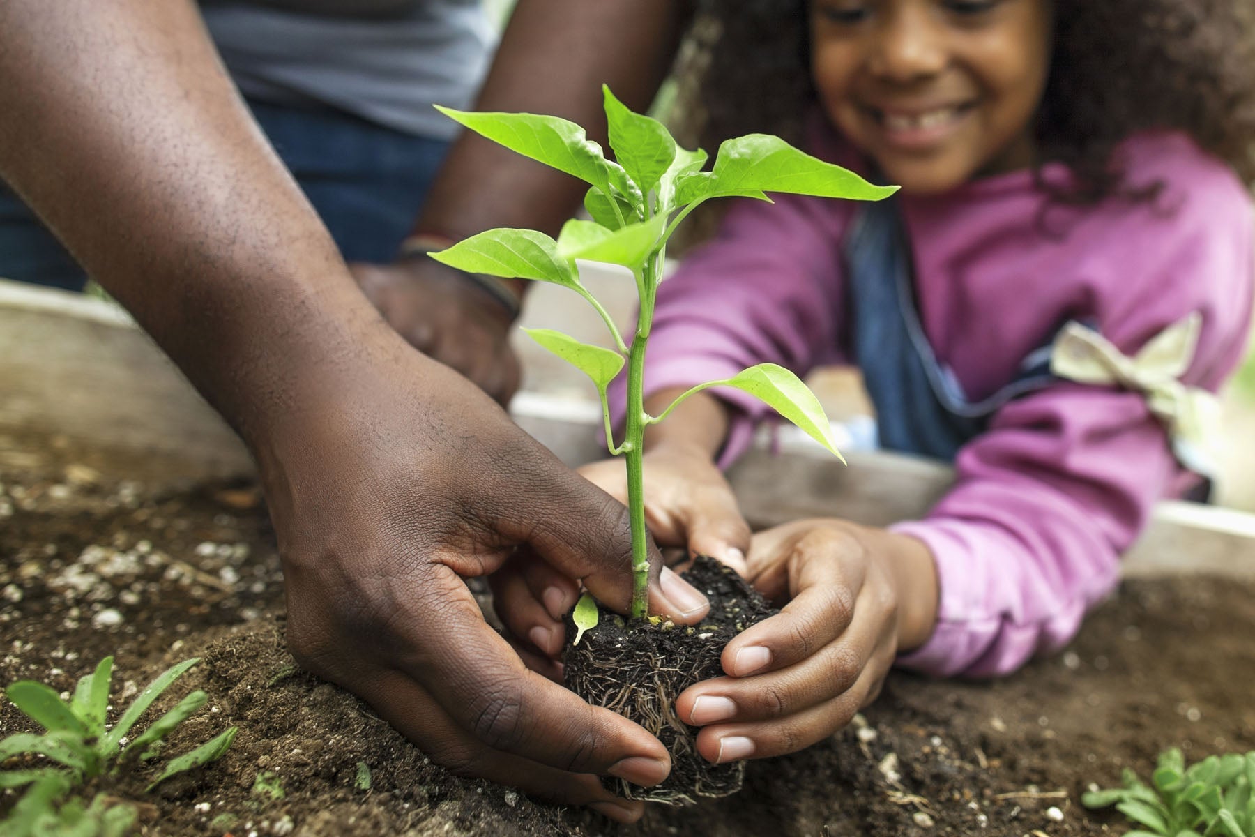 What is Charitable Giving? | NPT UK